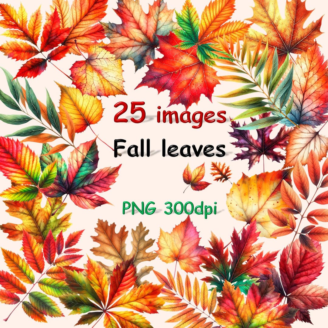 25 PNG Images, Fall Leaf, Watercolor Fall Leaves, Autumn Leaf Sticker ...