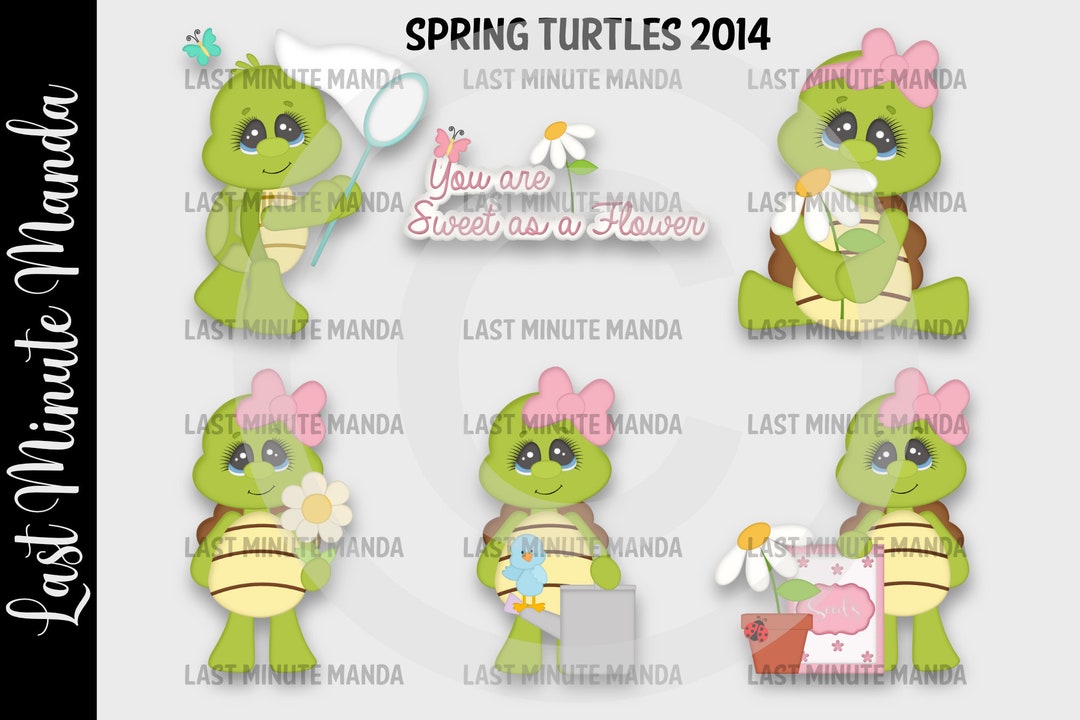 Spring Turtles 2014 PNG Graphics - Etsy Australia