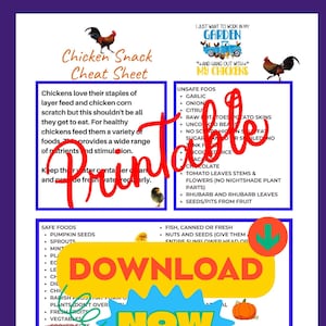 Chicken Snacks Cheat Sheet Printable Plus Bonus Sprouting Guide - Etsy