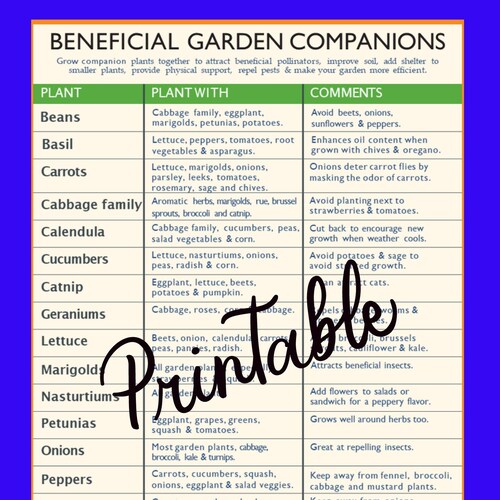 Companion Planting Garden Printable PDF Planting Printable - Etsy