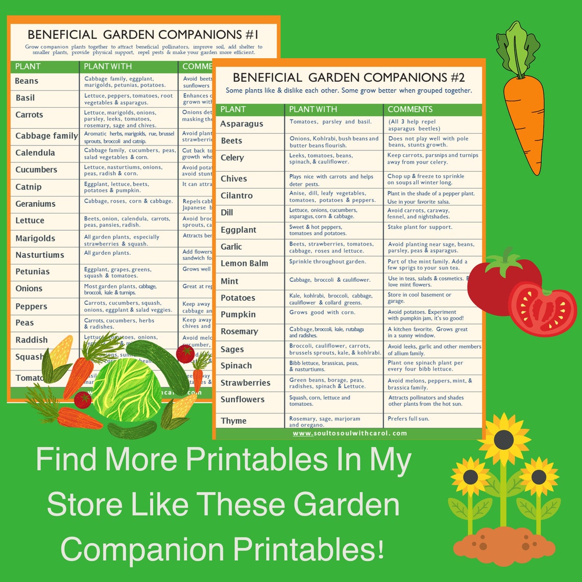 Chicken Snacks Cheat Sheet Printable Plus Bonus Sprouting Guide - Etsy