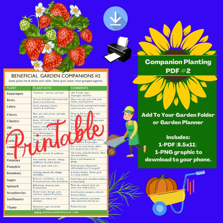 Companion Planting Garden Guide #2, PDF Planting Printable, Growing ...