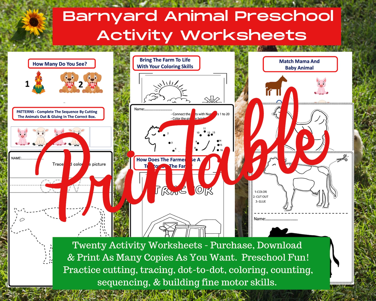 Barnyard Animal Activity Worksheets: Cutting, Tracing, Coloring (PDF ...