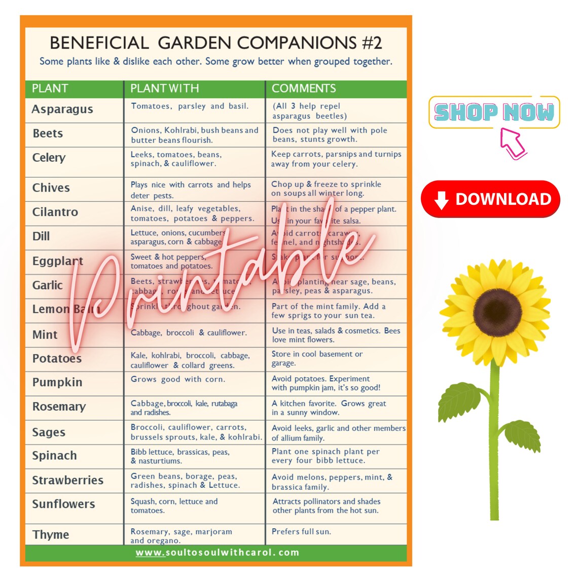Companion Planting Garden Guide #2, PDF Planting Printable, Growing ...