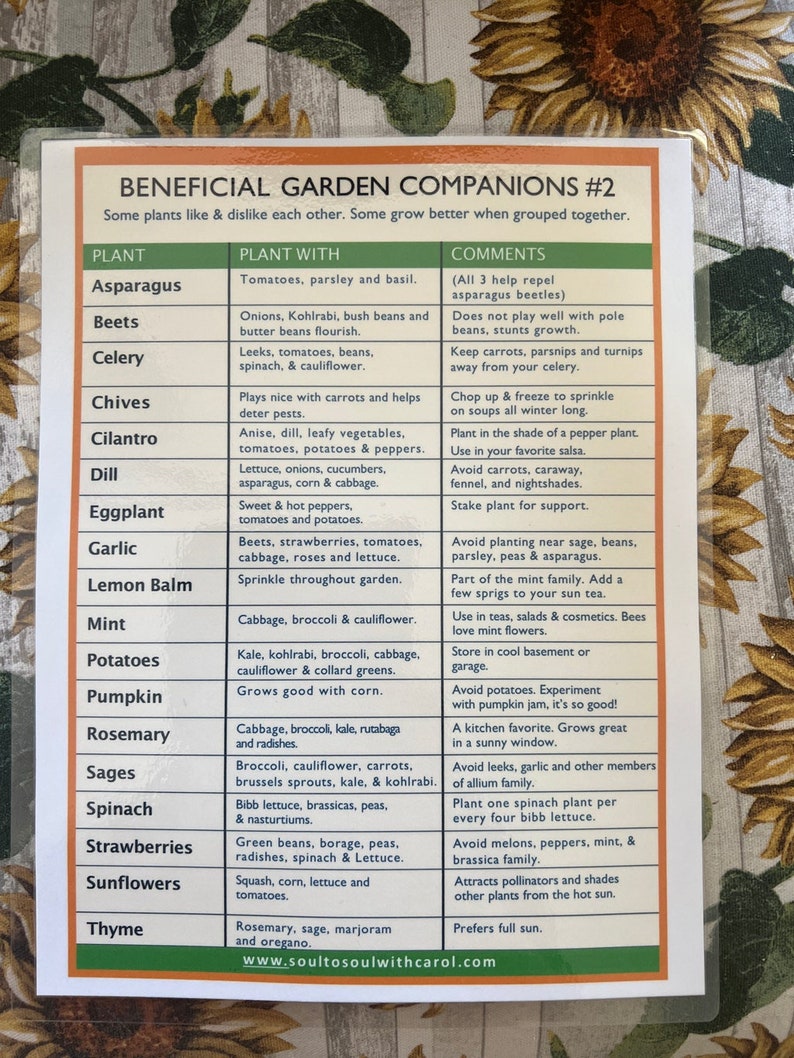 Companion Planting Guides 1 and 2 Printable. Garden Planning. - Etsy