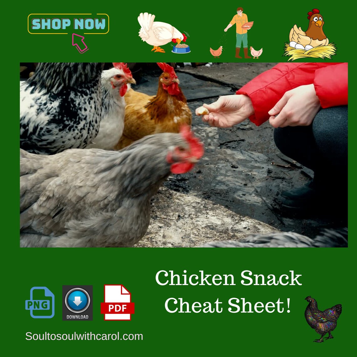Chicken Snacks Cheat Sheet Printable Plus Bonus Sprouting Guide - Etsy