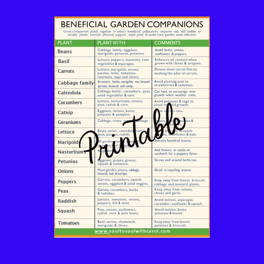 Companion Planting Guide: Garden Printable (PDF & PNG) - Etsy