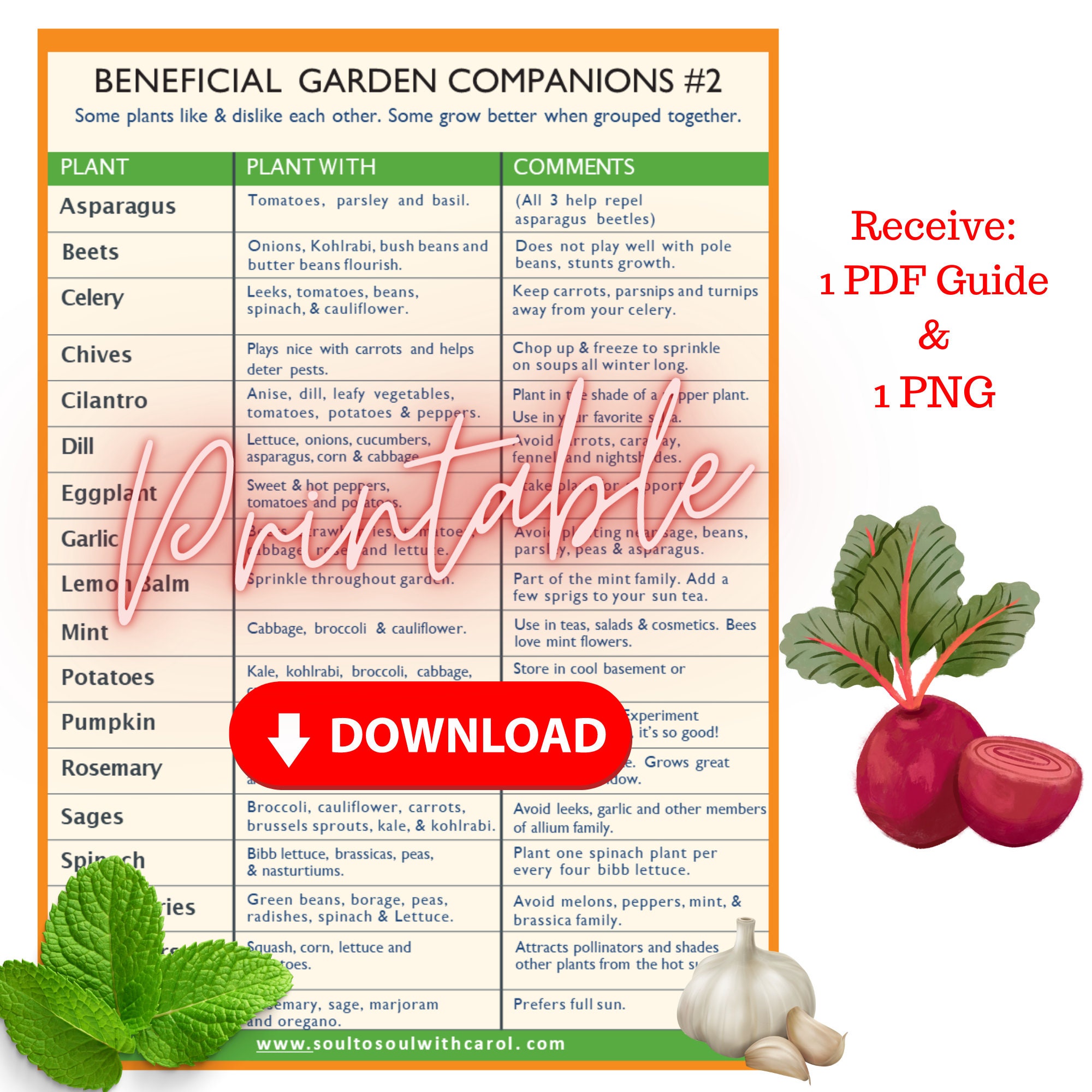 Companion Planting Garden Guide #2, PDF Planting Printable, Growing ...