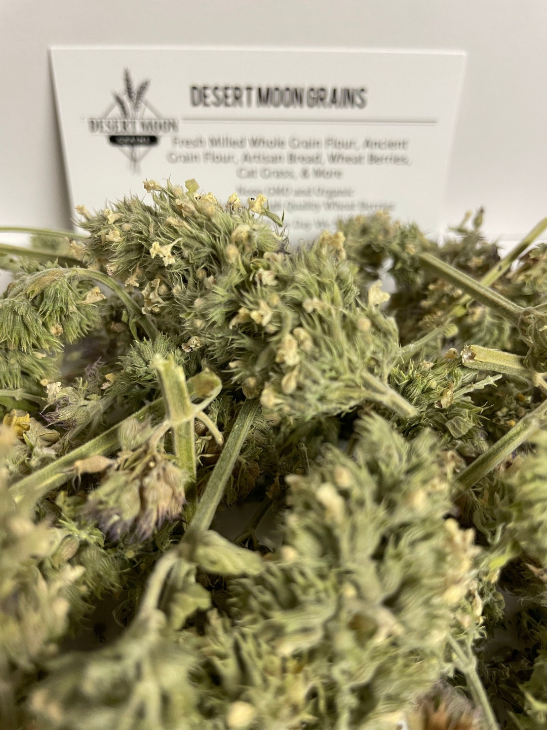 Potent Catnip Buds: Organically Grown Catnip Blossoms - Etsy