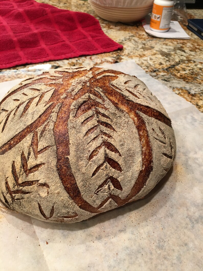 Rice Flour Fresh Stone Ground 4 Oz - Etsy