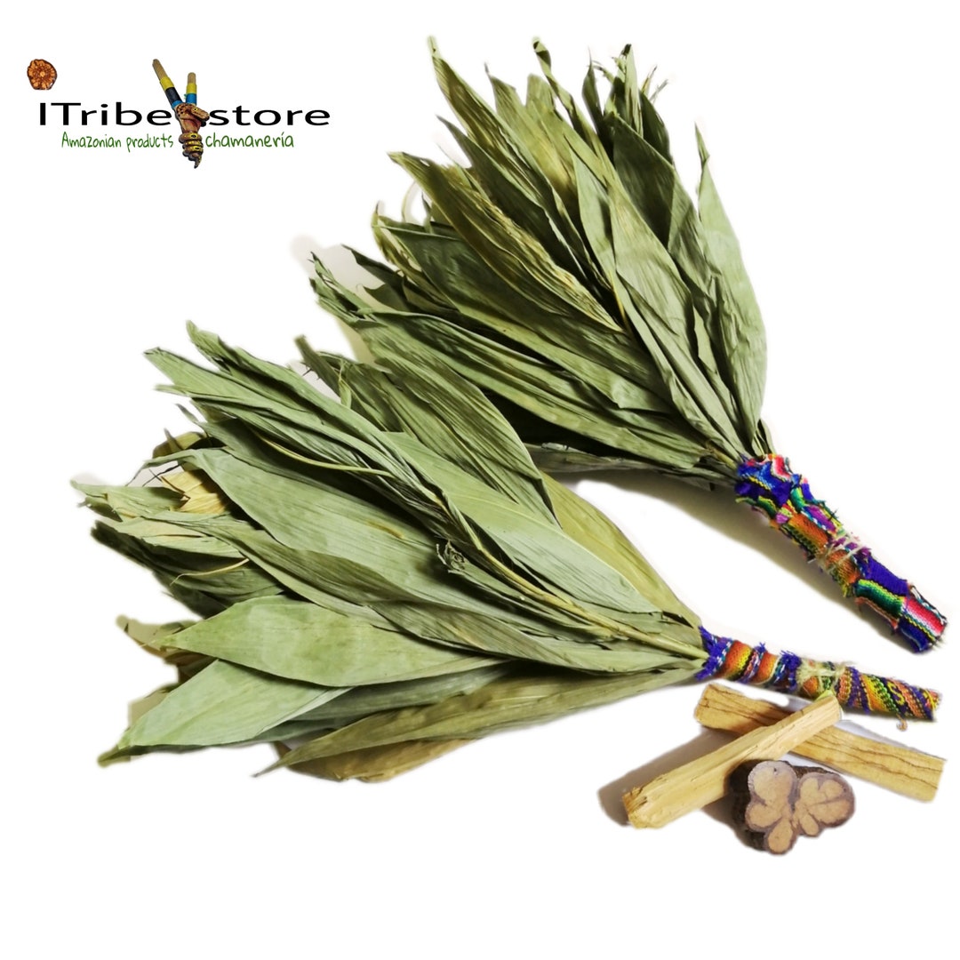 1 Chacarpa or Chakapa, Shacapa, Shaman Tool, Cleaning, Ceremonial ...