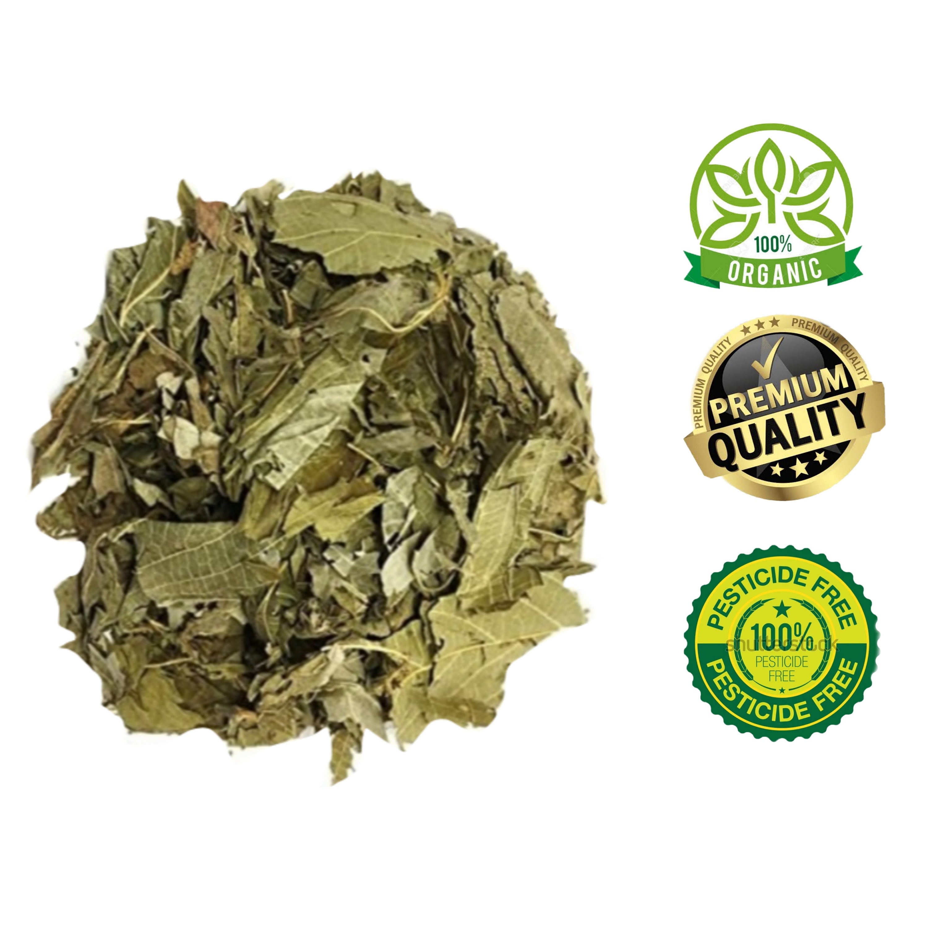 400 Leaves of Matico Infusion Tea Soldier's - Etsy