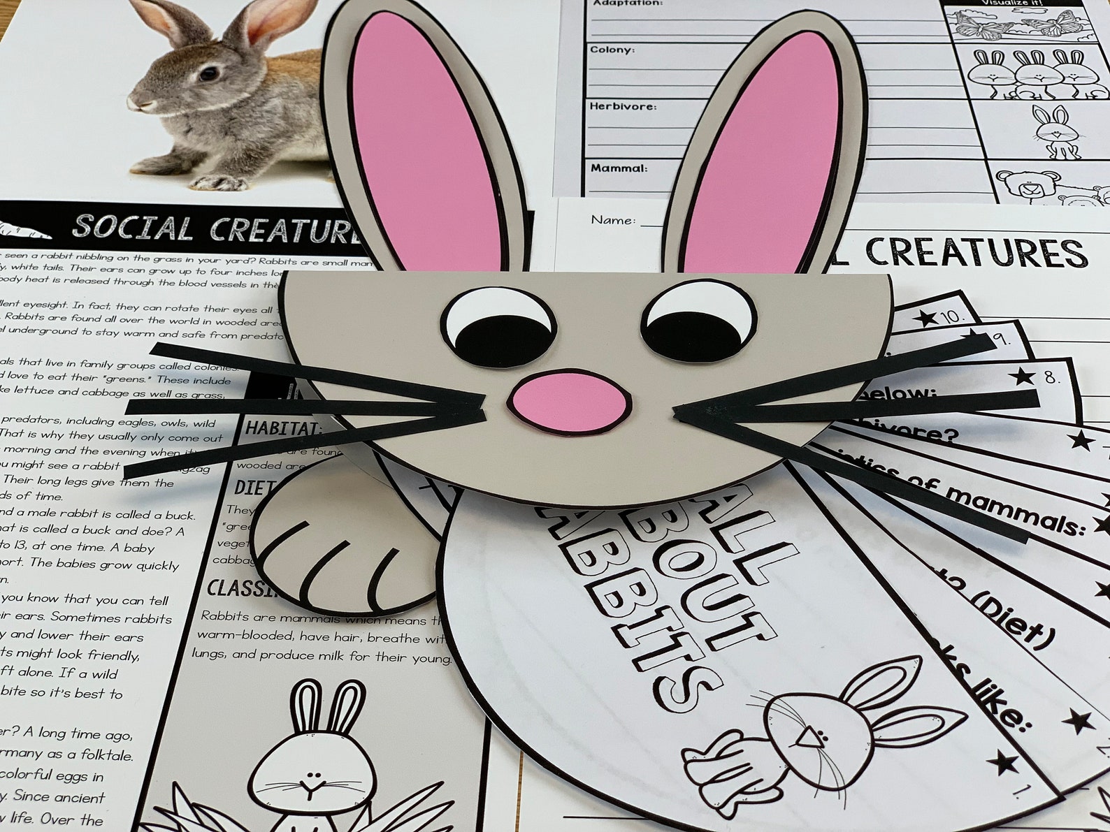 Rabbits Activity for Kids Make a Bunny Craft Project Rabbit Unit Study ...