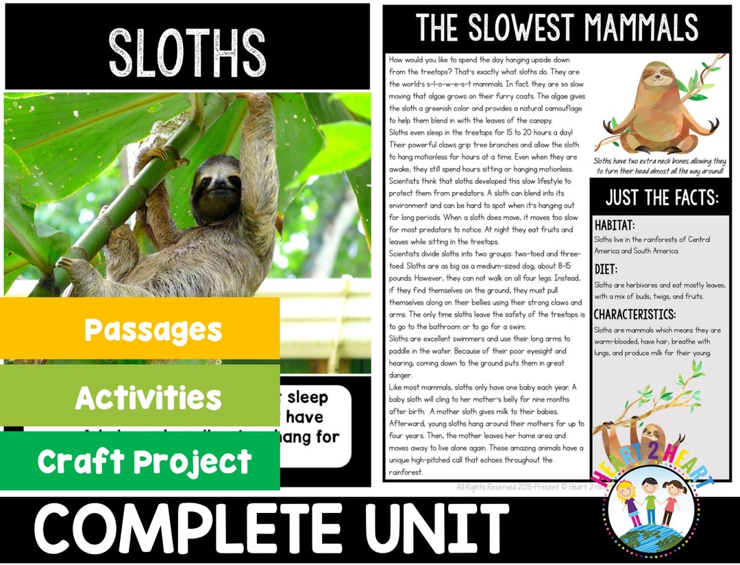 Sloth Activities for Kids Make a Sloth Craft Project Rainforest Animals ...