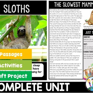 Sloth Activities for Kids Make a Sloth Craft Project Rainforest Animals ...