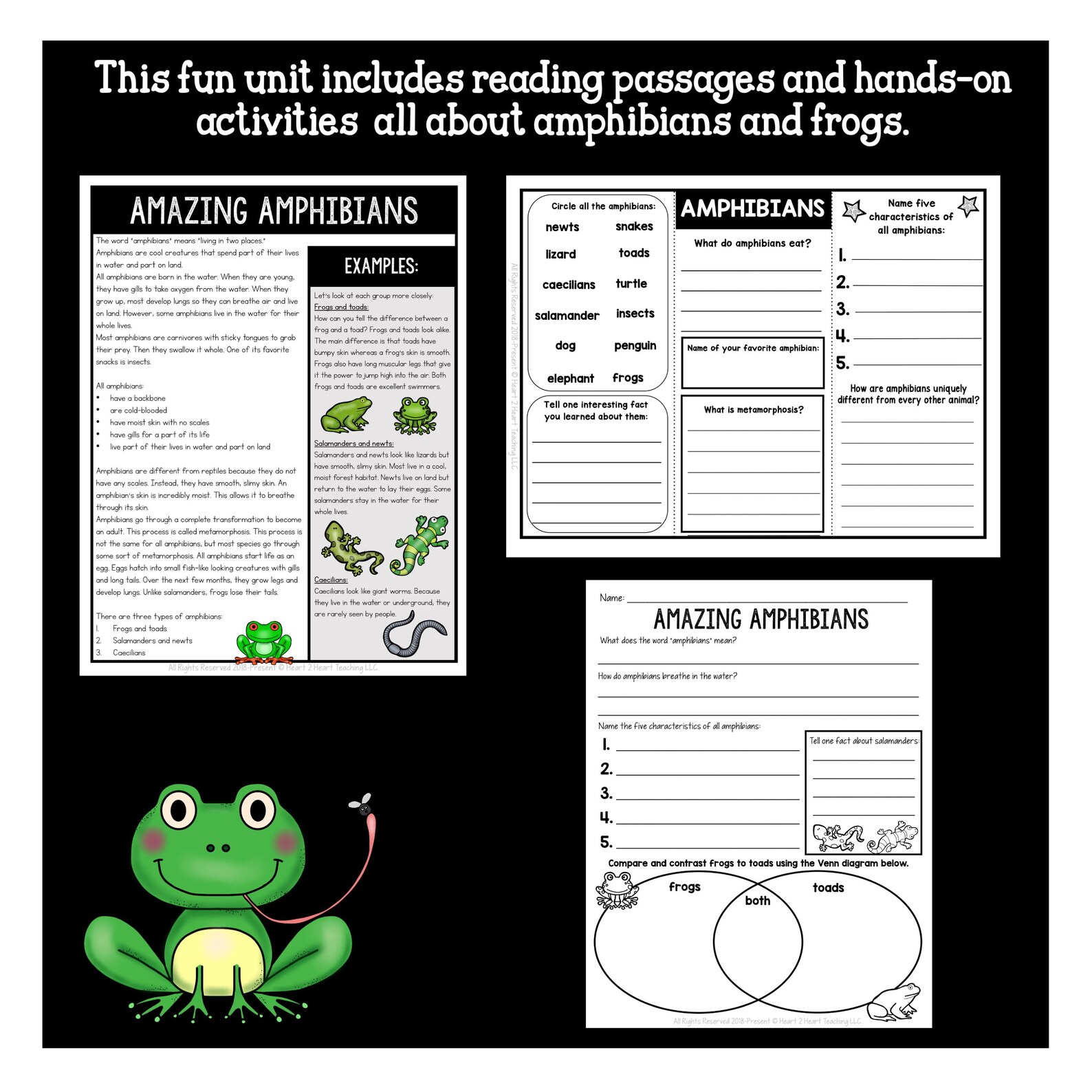 Frogs Printable Craft for Kids Build a Frog Amphibians Unit Study Pond ...