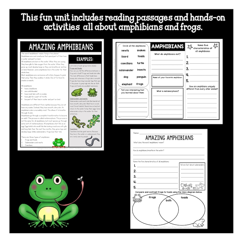 Frogs Printable Craft for Kids Build a Frog Amphibians Unit Study Pond ...