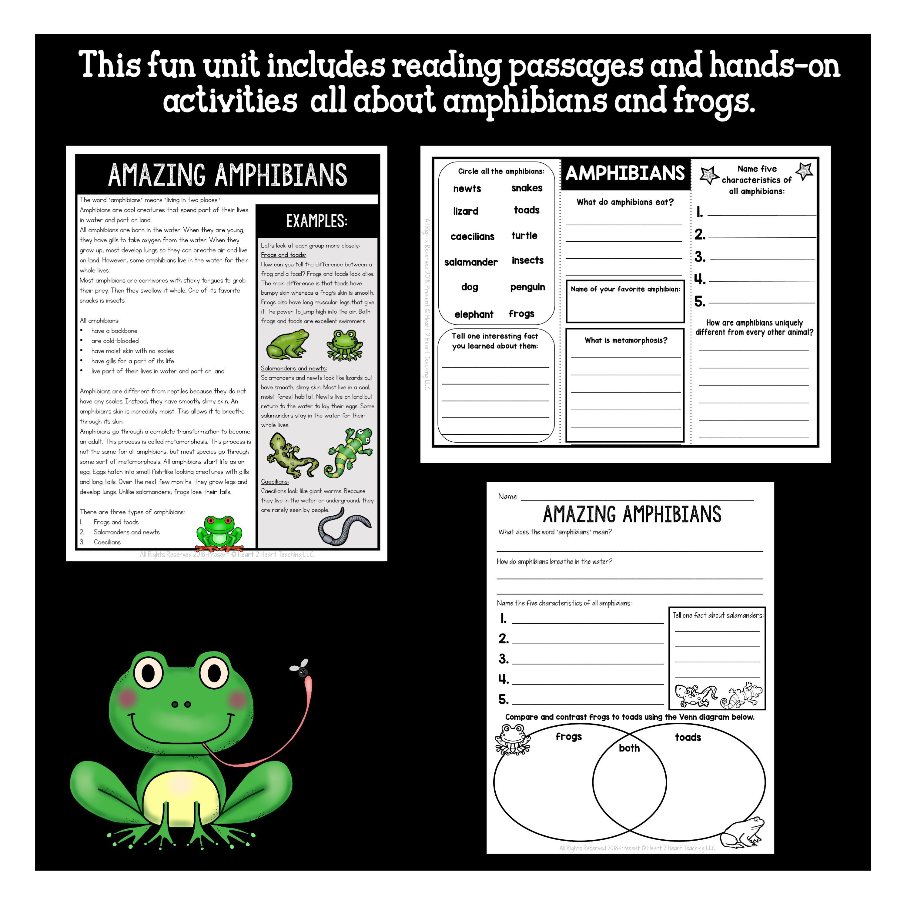 Frogs Printable Craft for Kids Build a Frog Amphibians Unit Study Pond ...