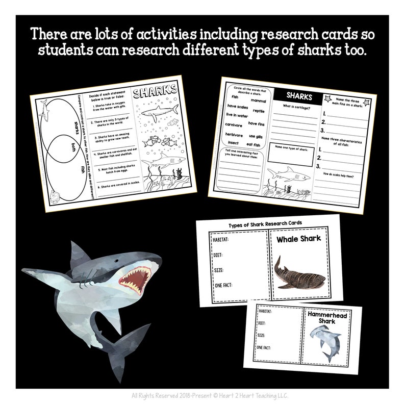 Shark Activity for Kids Make a Shark Craft Project Great White Shark ...
