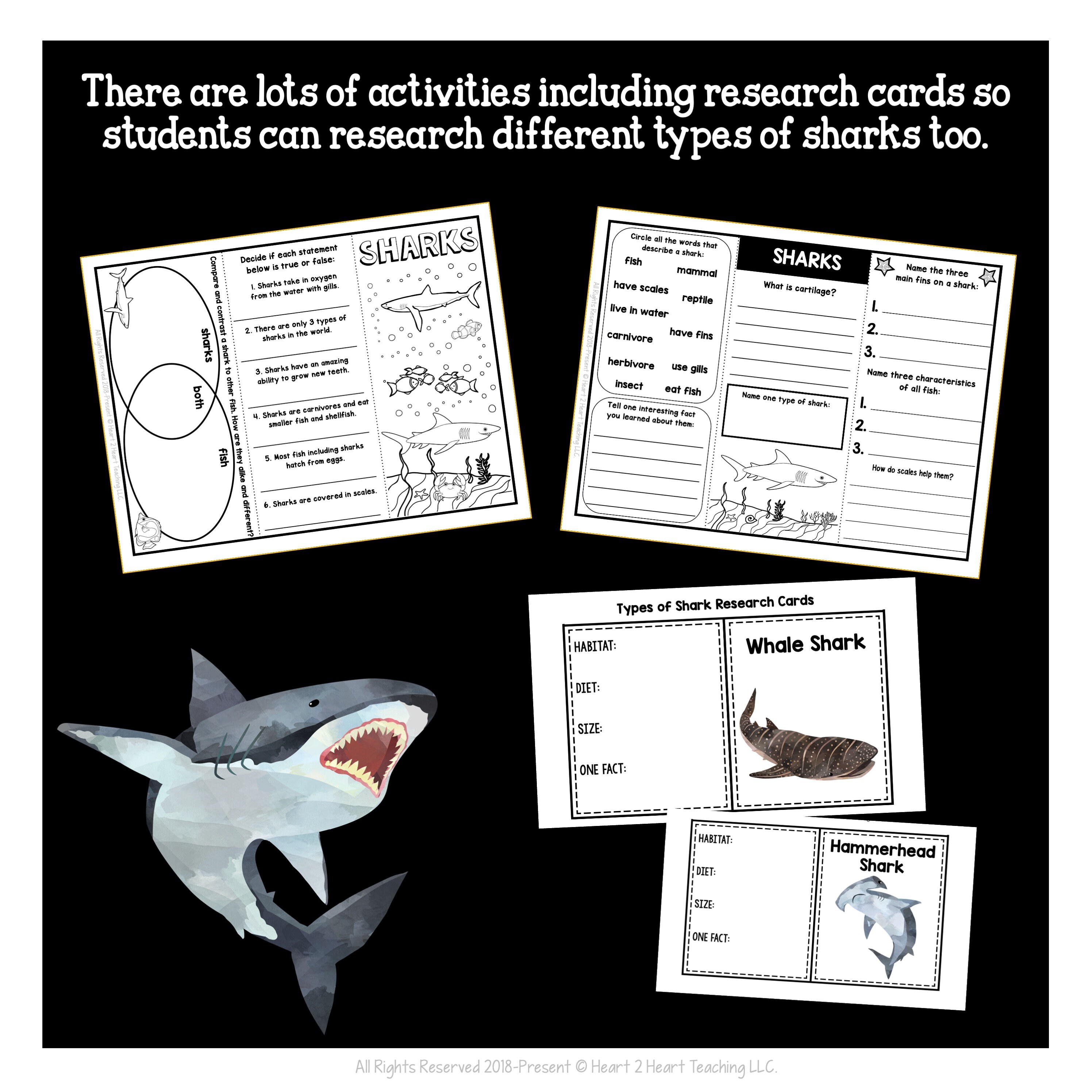 Shark Activity for Kids Make a Shark Craft Project Great White Shark ...