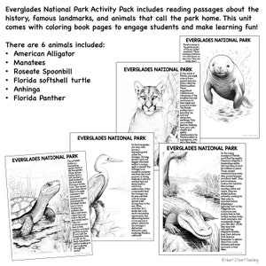 Everglades National Park Coloring Pages: Florida Animals Activity ...
