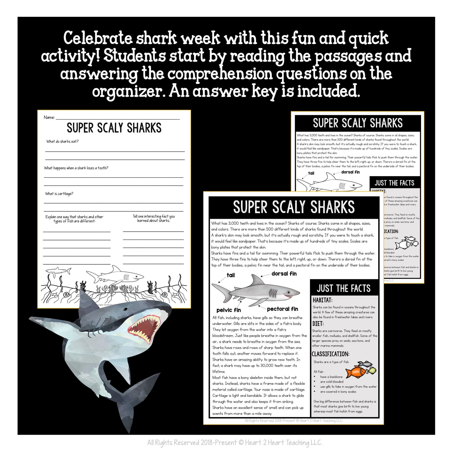 Shark Activity for Kids Make a Shark Craft Project Great White Shark ...
