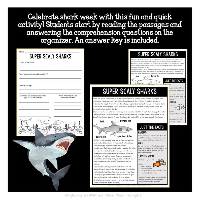 Shark Activity for Kids Make a Shark Craft Project Great White Shark ...