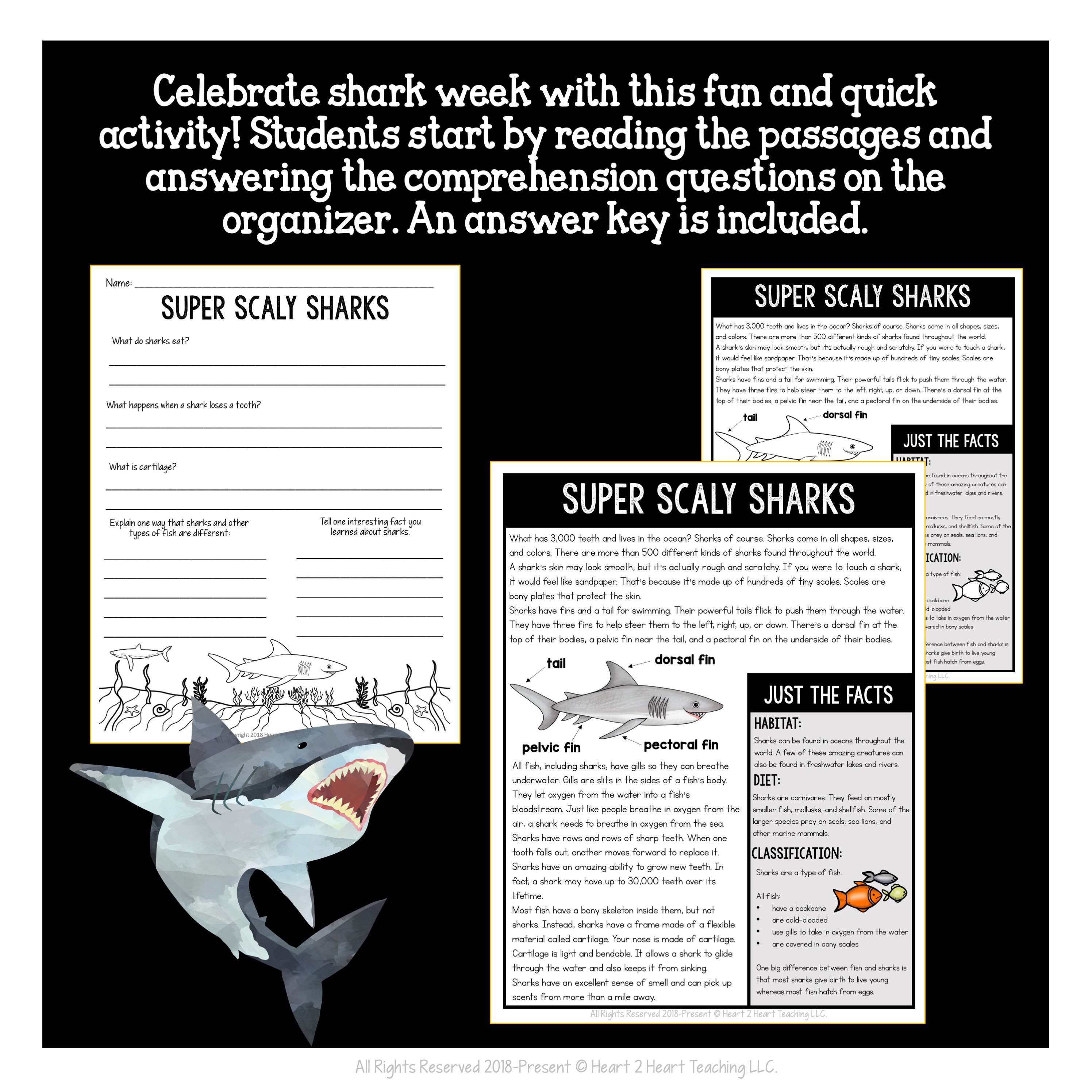 Shark Activity for Kids Make a Shark Craft Project Great White Shark ...