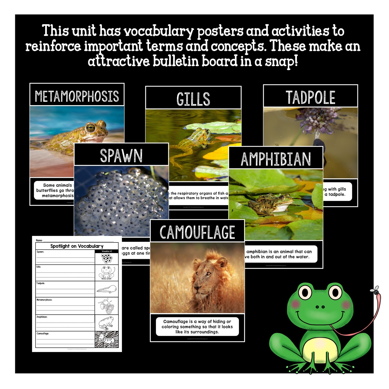 Frogs Printable Craft for Kids Build a Frog Amphibians Unit Study Pond ...
