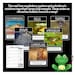 Frog Life Cycle Printable: Amphibians Unit Study (digital Download) - Etsy