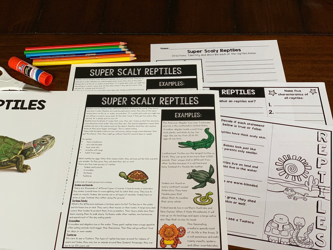 Alligator Printable Craft Crocodiles Printable Craft Alligator Unit ...