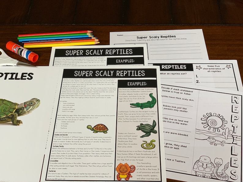 Alligator Printable Craft Crocodiles Printable Craft Alligator Unit ...