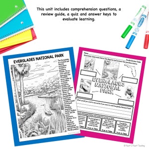 Everglades National Park Coloring Pages: Florida Animals Activity ...