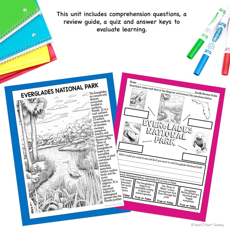 Everglades National Park Coloring Pages: Florida Animals Activity ...