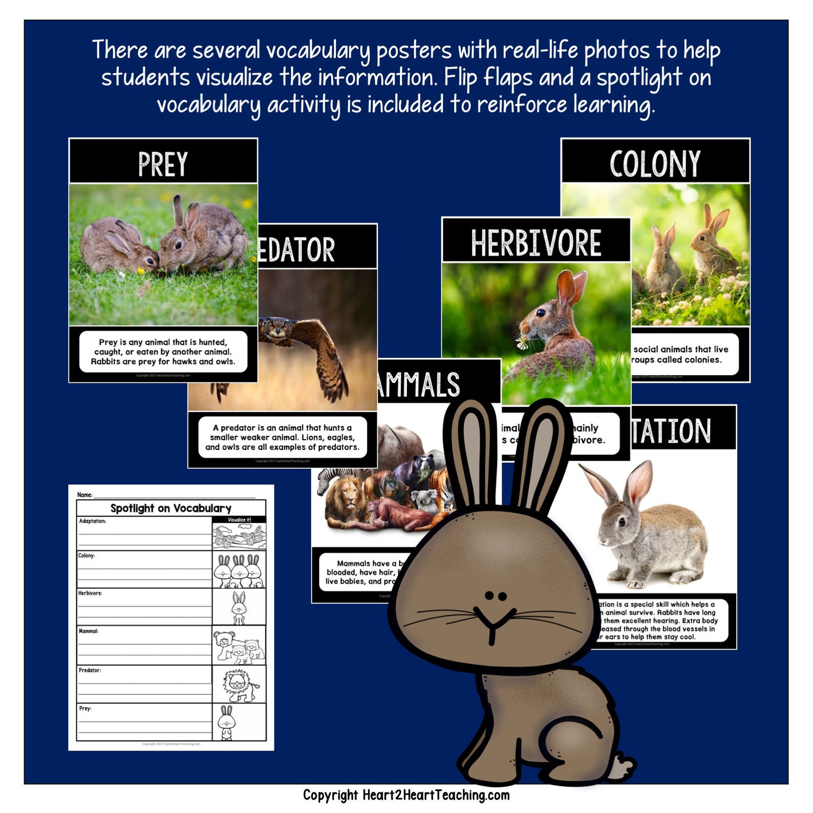 Rabbits Activity for Kids Make a Bunny Craft Project Rabbit Unit Study ...
