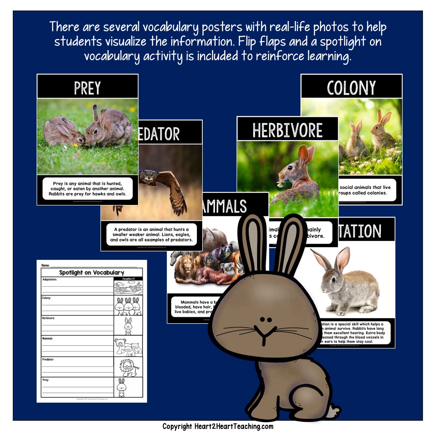 Rabbits Activity for Kids Make a Bunny Craft Project Rabbit Unit Study ...