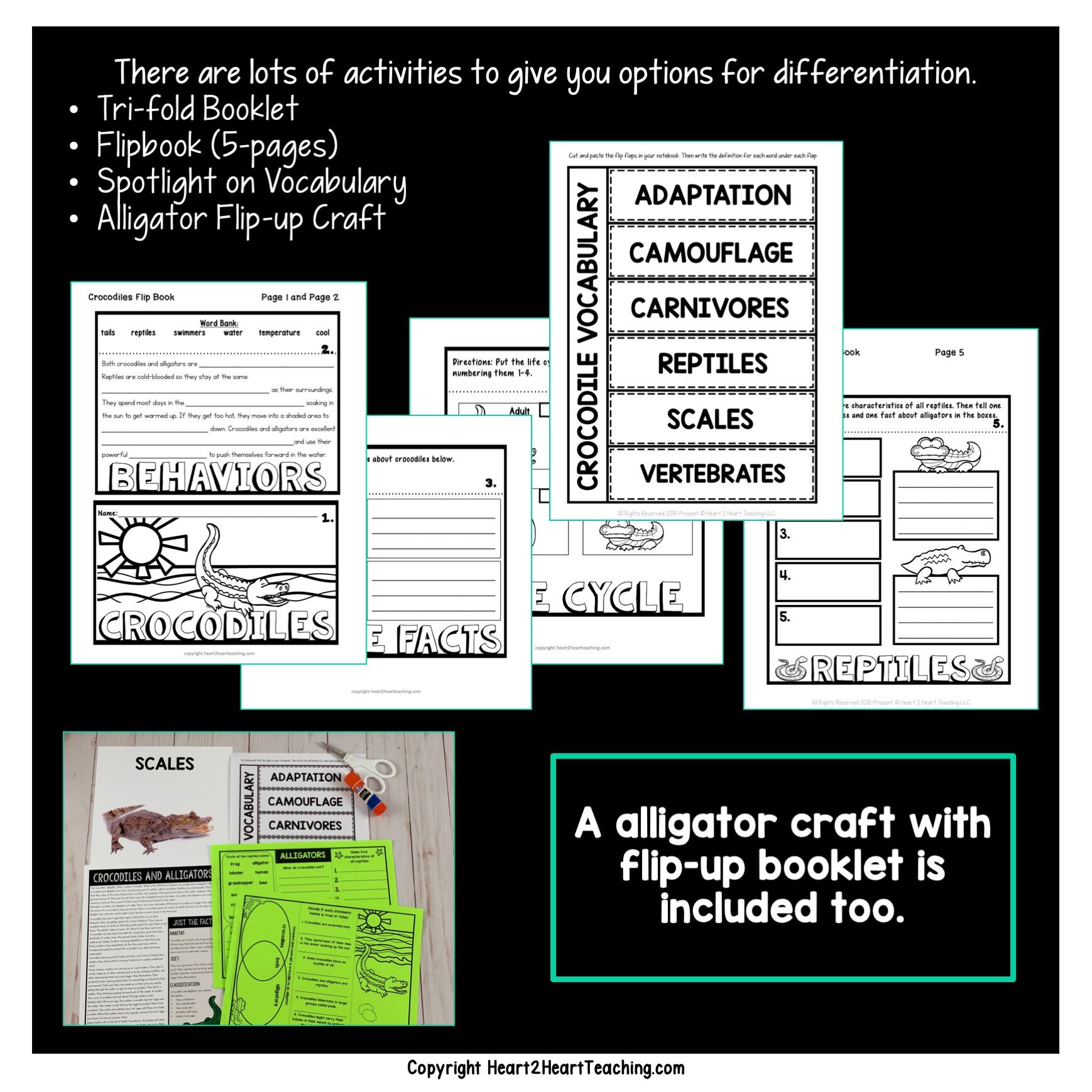 Alligator and Crocodile Craft for Kids, Reptile Unit Study, Homeschool ...