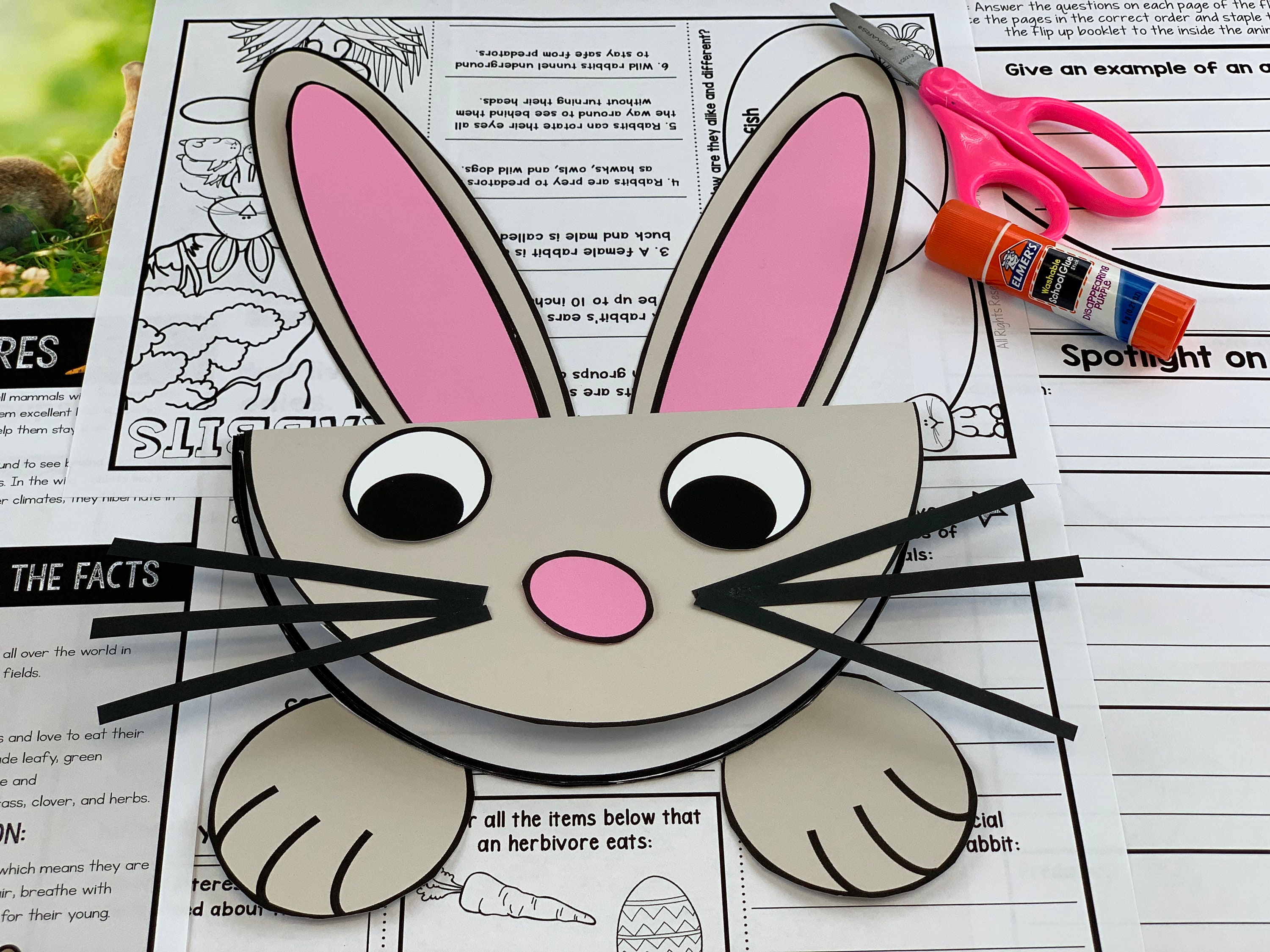 Rabbits Activity for Kids Make a Bunny Craft Project Rabbit Unit Study ...