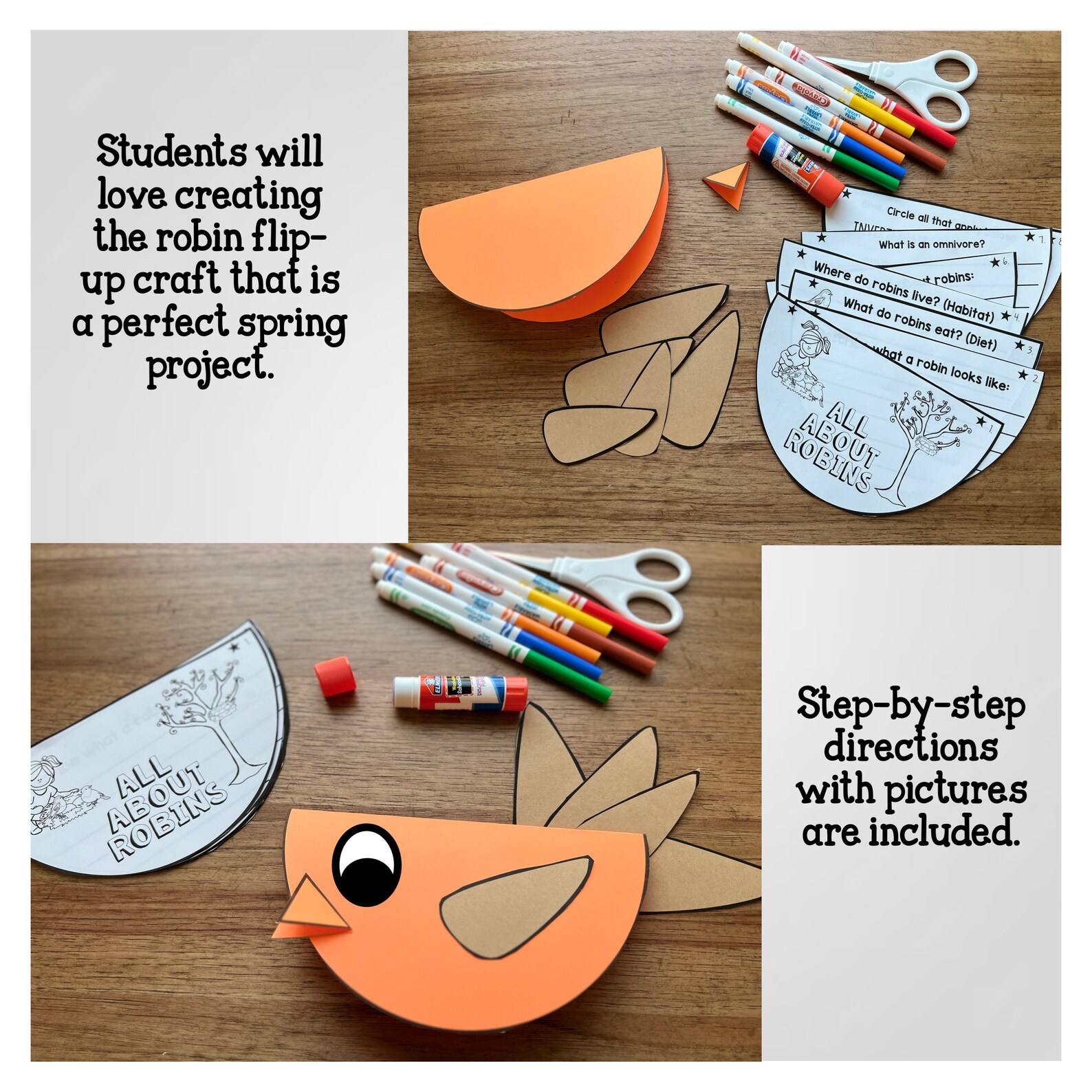 Bird Printable Craft Project for Kids Make a Bird Project Robin Life ...
