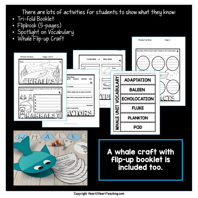 Whale Craft Project & Unit Study: Fun Whale Activities (digital ...