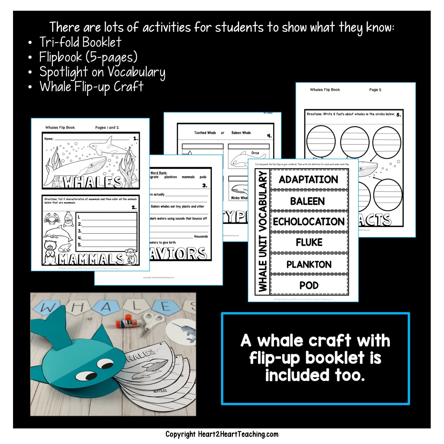 Whale Craft Project & Unit Study: Fun Whale Activities (digital ...