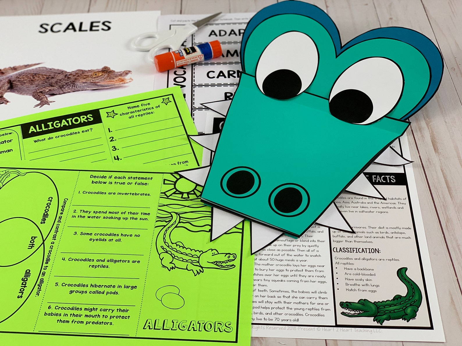 Alligator Printable Craft Crocodiles Printable Craft Alligator Unit ...