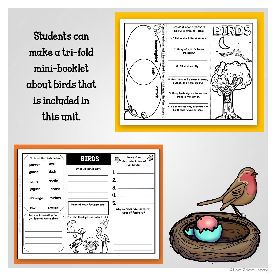 Bird Printable Craft Project for Kids Make a Bird Project Robin Life ...