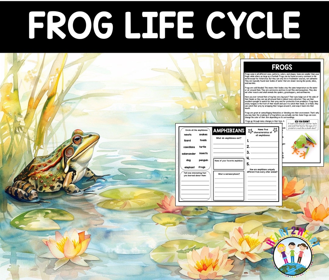 Frogs Printable Craft for Kids Build a Frog Amphibians Unit Study Pond ...
