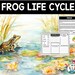 Frog Life Cycle Printable: Amphibians Unit Study (digital Download) - Etsy