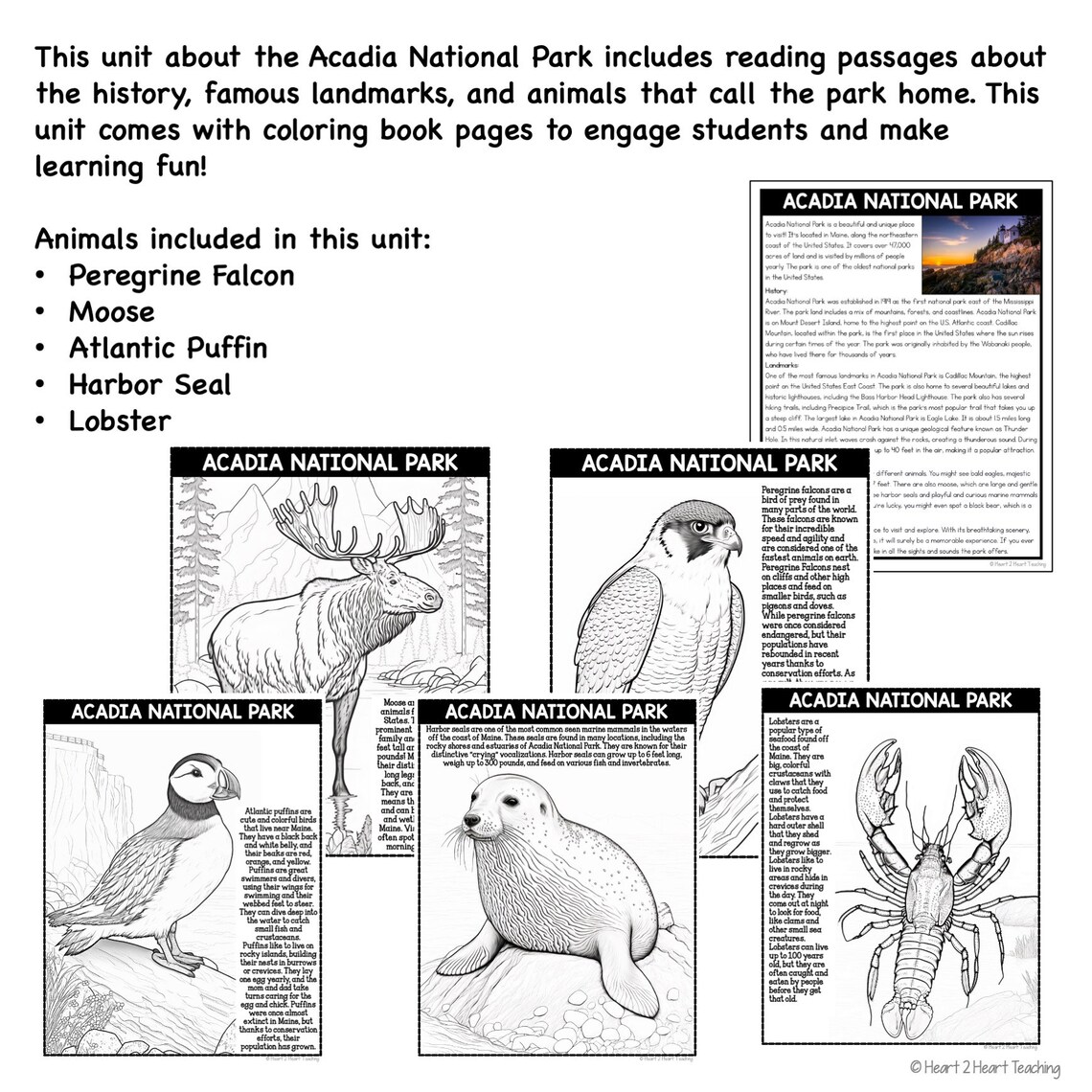 Acadia National Park Coloring Pages for Kids National Parks Coloring ...