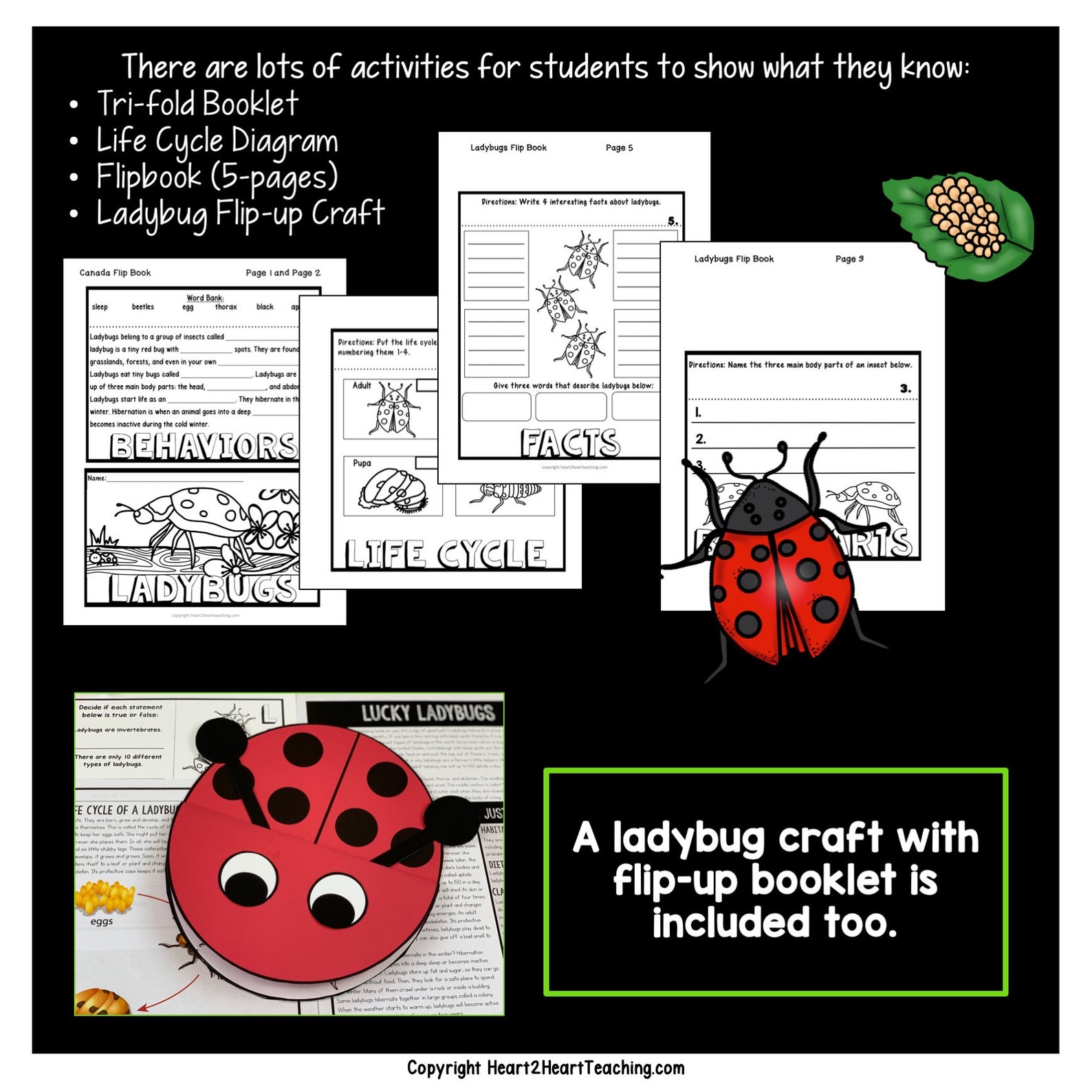 Ladybug Life Cycle Activity Pack: Craft & Worksheets (digital Download ...