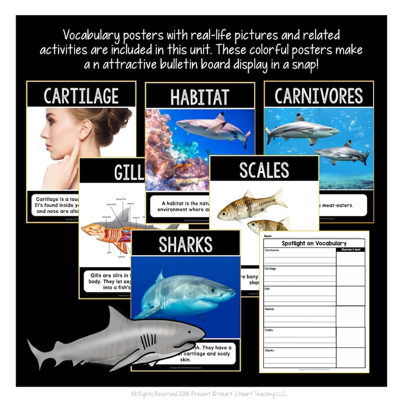 Shark Activity Pack: Craft Project & Learning Workbook (digital ...