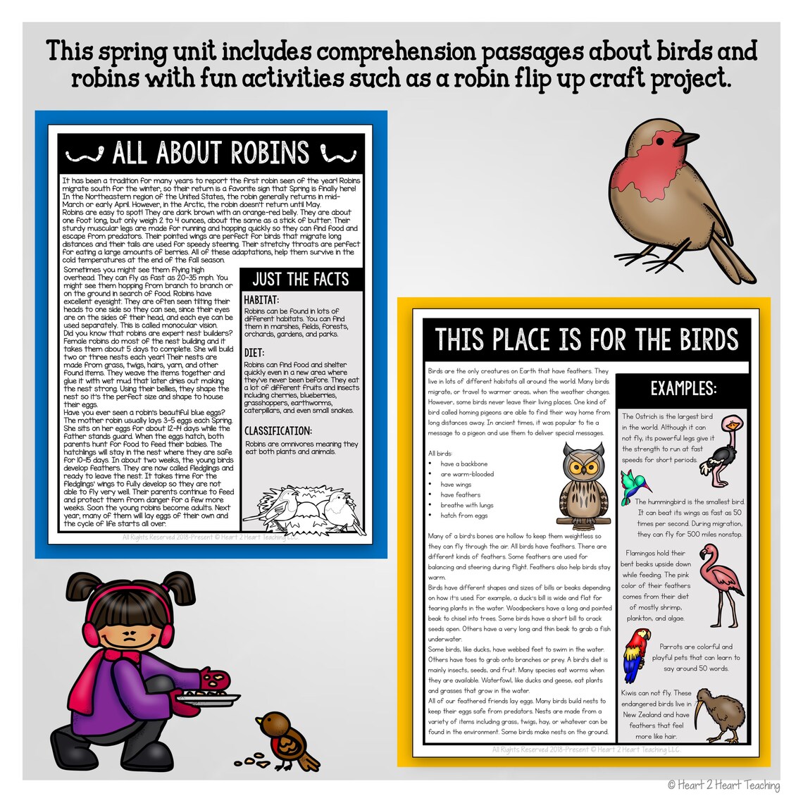 Bird Printable Craft Project for Kids Make a Bird Project Robin Life ...