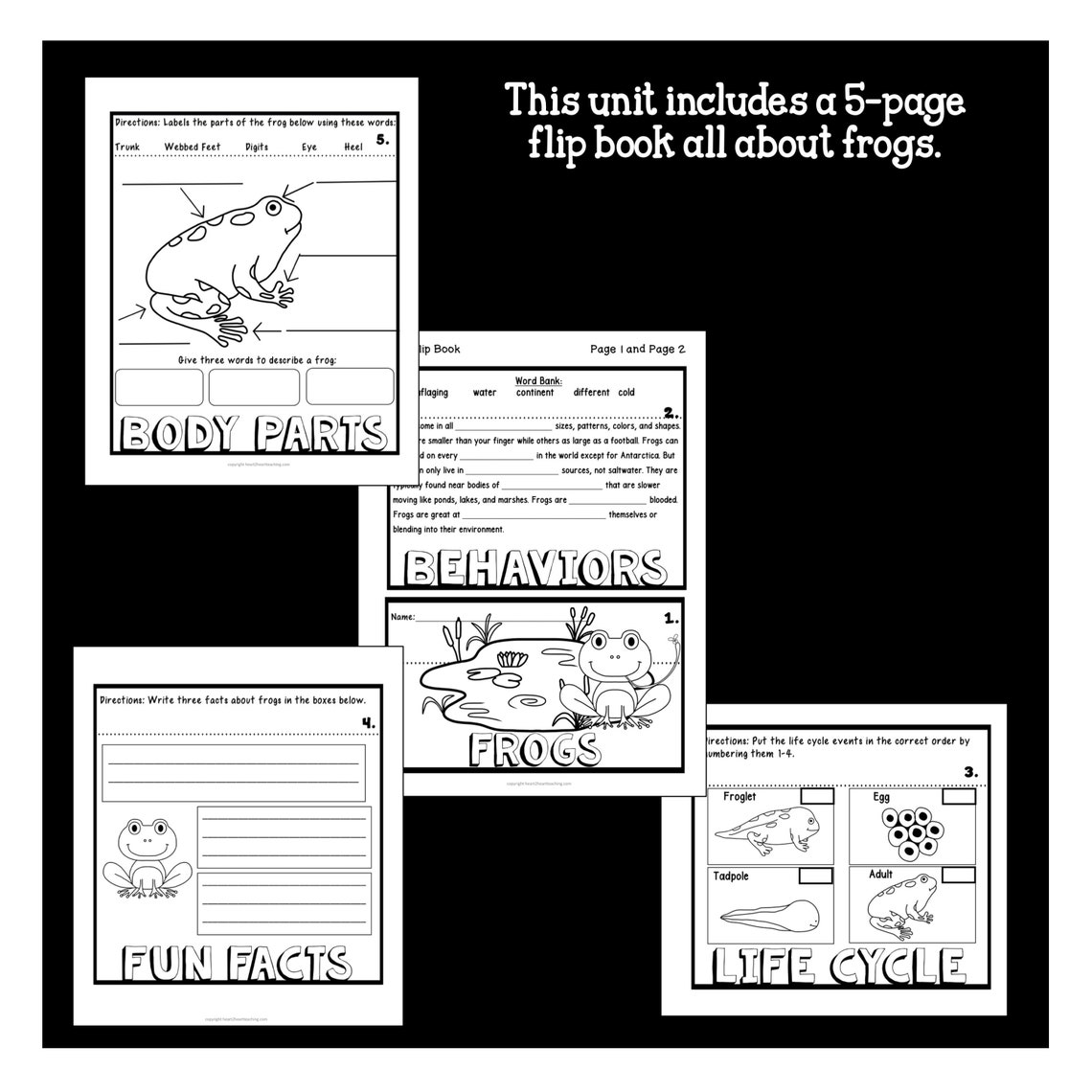 Frogs Printable Craft for Kids Build a Frog Amphibians Unit Study Pond ...